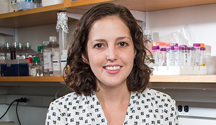 Howard Hughes Medical Institute names three HMS postdocs as Hanna Gray ...